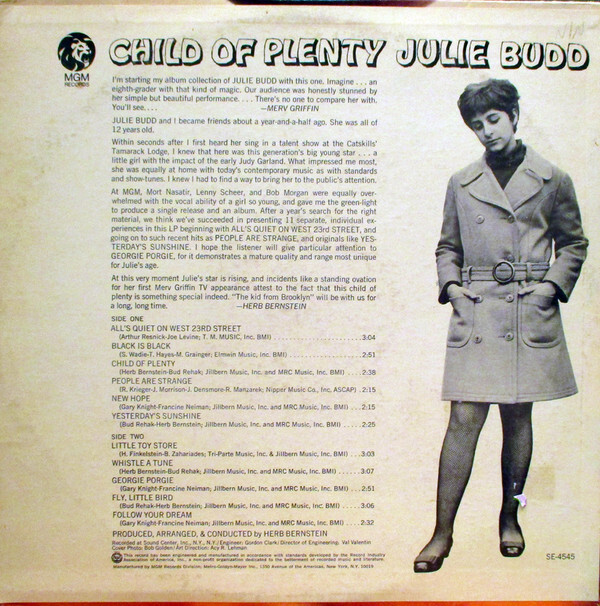 Julie Budd Child Of Plenty Vinyl LP - Discrepancy Records