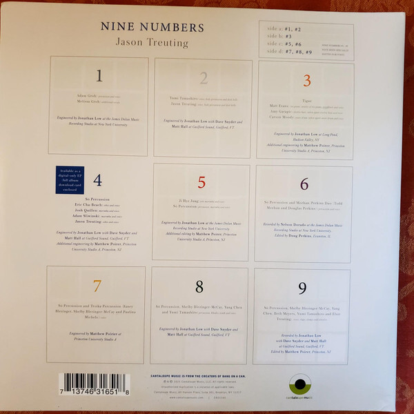 Jason Treuting Nine Numbers Vinyl 2 LP - Discrepancy Records