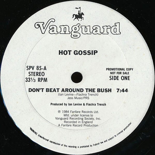 Hot Gossip Don't Beat Around The Bush Vinyl - Discrepancy Records